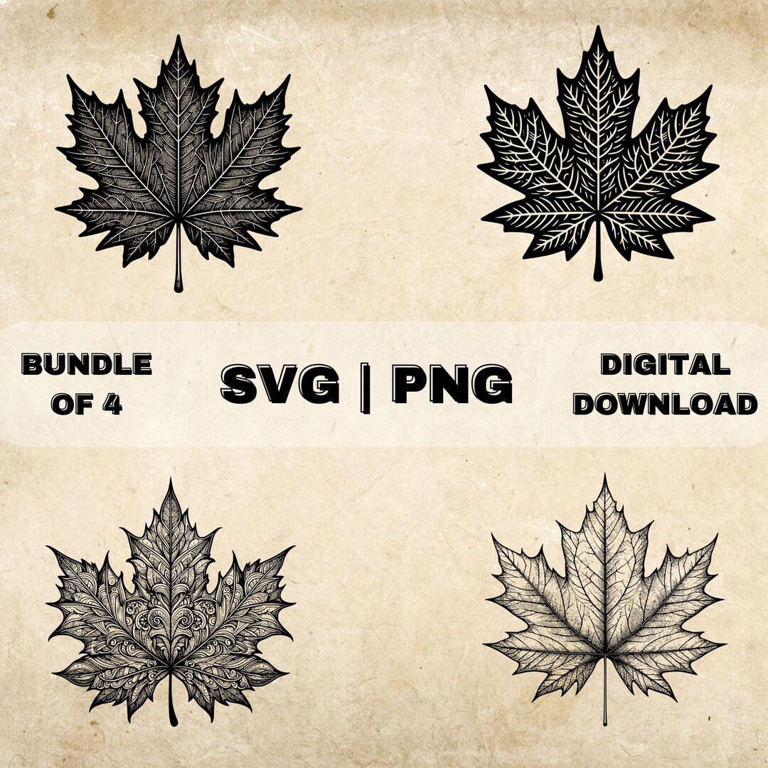 Maple Leaf SVG Bundle, Autumn Clipart, Hand Drawn Fall Nature Botanical ...
