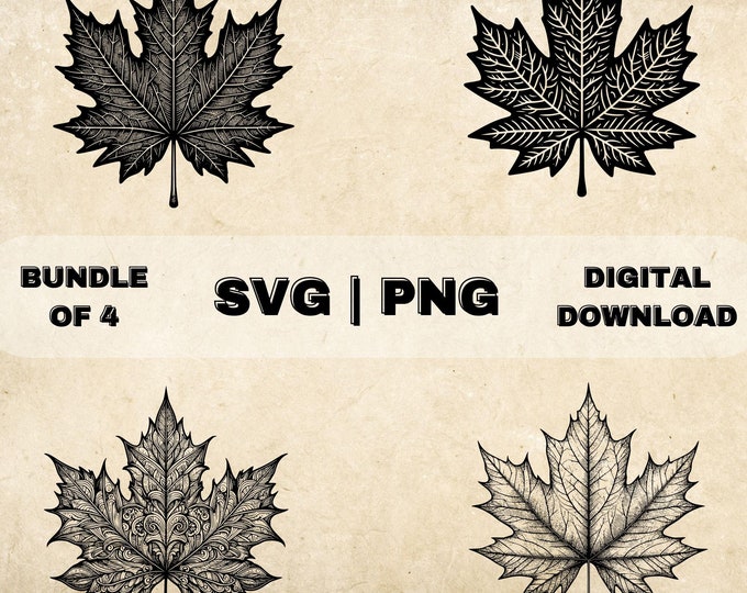 Maple Leaf SVG Autumn Illustration Maple Leaf Clipart Fall Graphic ...