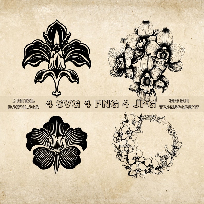 Orchid Flower SVG Bundle PNG Flowers Clipart Hand Drawn - Etsy