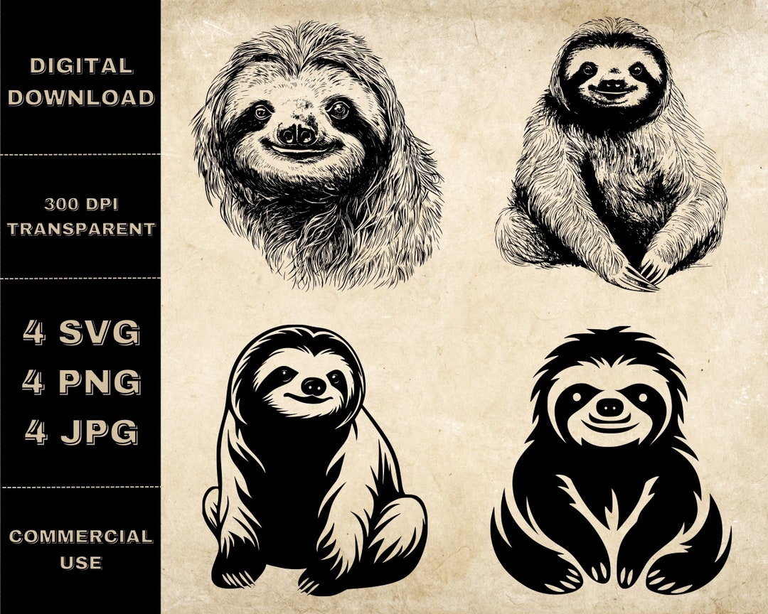 Sloth SVG Bundle, PNG, Sloth Clipart, Hand Drawn Sloth Vector ...