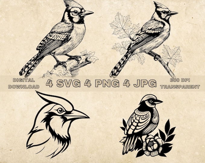 Blue Jay Bird SVG | Layered Blue Jay Bird Cutting File - Etsy Canada