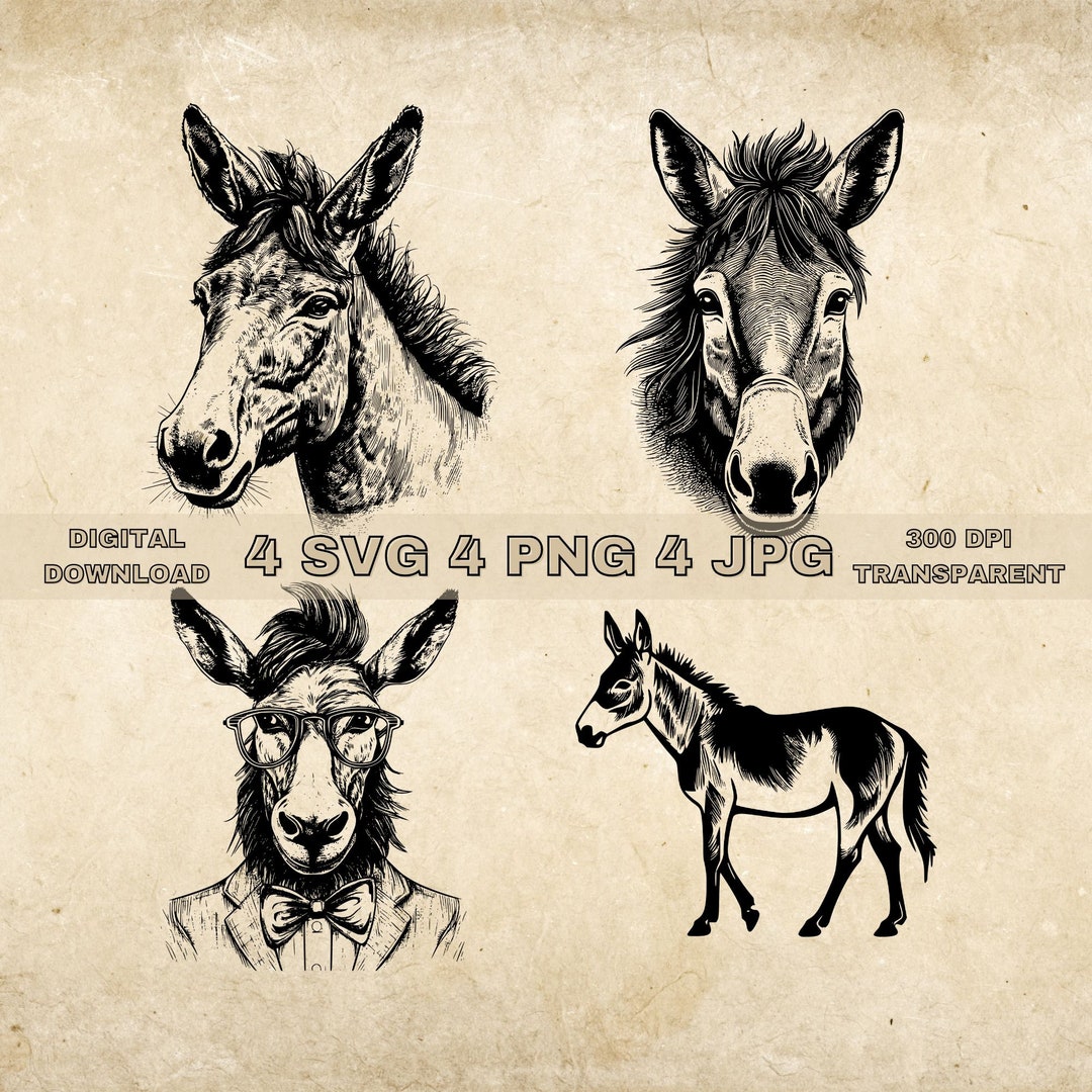 Donkey SVG Bundle, PNG, Donkey Clipart, Hand Drawn Donkeys Vector ...