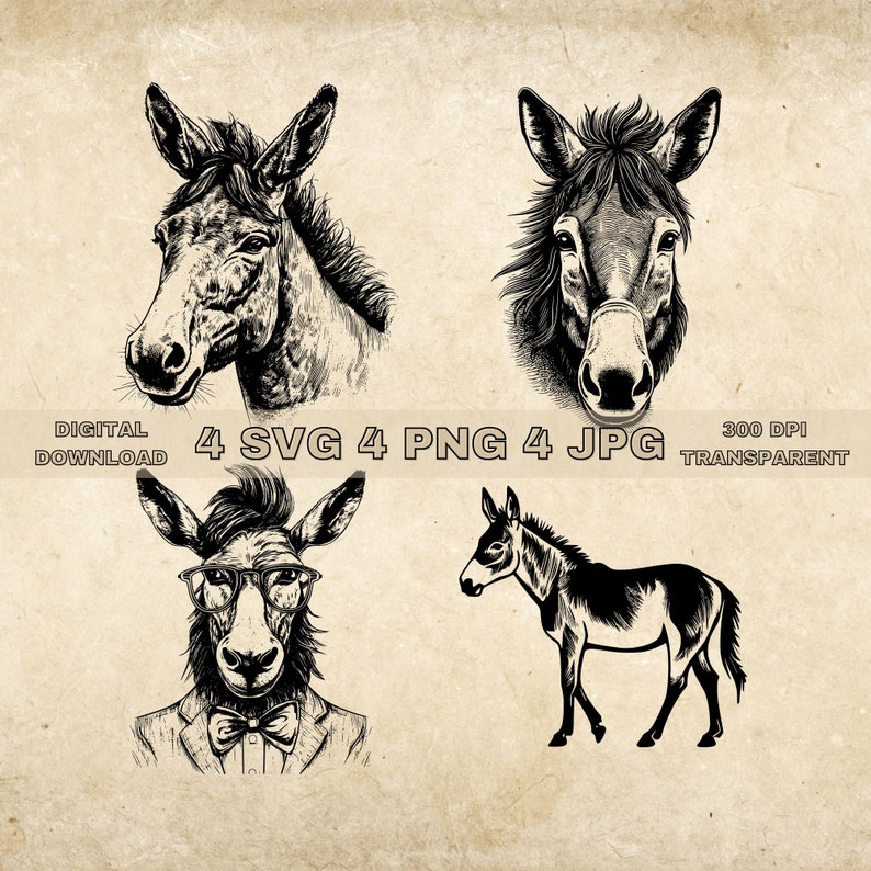 Donkey SVG Bundle, PNG, Donkey Clipart, Hand Drawn Donkeys Vector ...