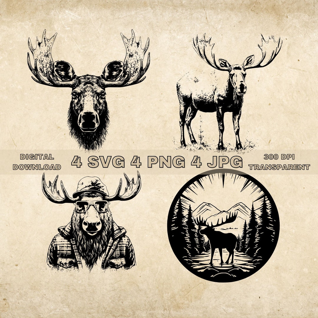 Moose SVG Bundle, PNG, Moose Clipart, Hand Drawn Moose Vector ...