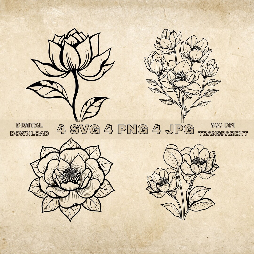 Magnolia Flower SVG Bundle, PNG, Flowers Clipart, Hand Drawn Magnolias ...