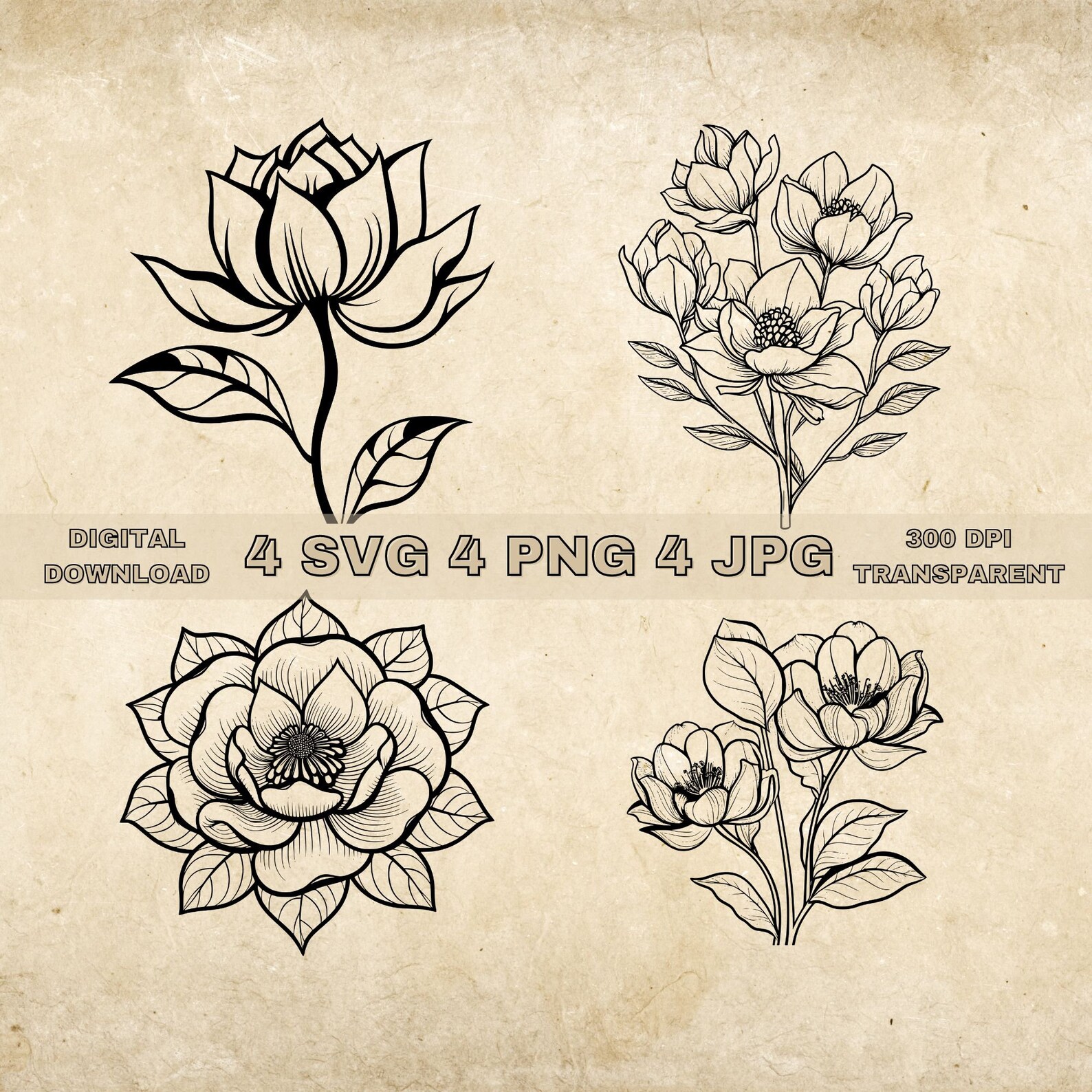 Magnolia Flower SVG Bundle PNG Flowers Clipart Hand Drawn - Etsy