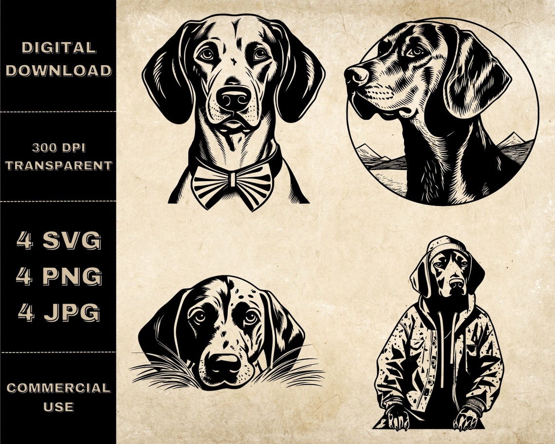 German Shorthaired Pointer SVG Bundle PNG Cute Dogs Clipart - Etsy