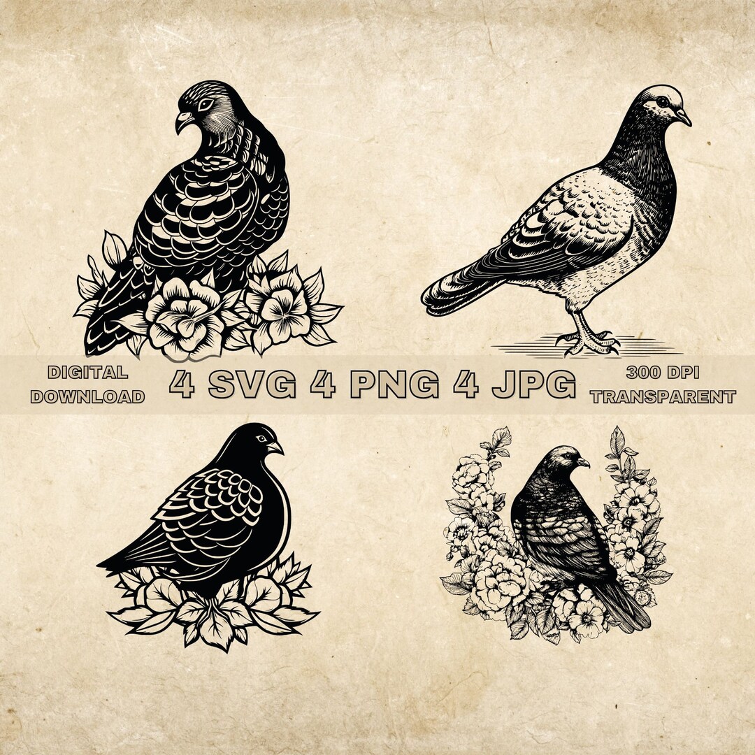 Pigeon SVG Bundle, PNG, Birds and Flowers Clipart, Hand Drawn Bird ...
