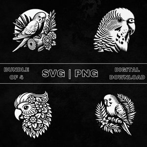 Parakeet SVG Bundle, Parrot Clipart, Hand Drawn Tropical Bird Theme ...