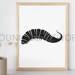 Worm SVG Bundle, PNG, Worm Clipart, Hand Drawn Insect Vector ...
