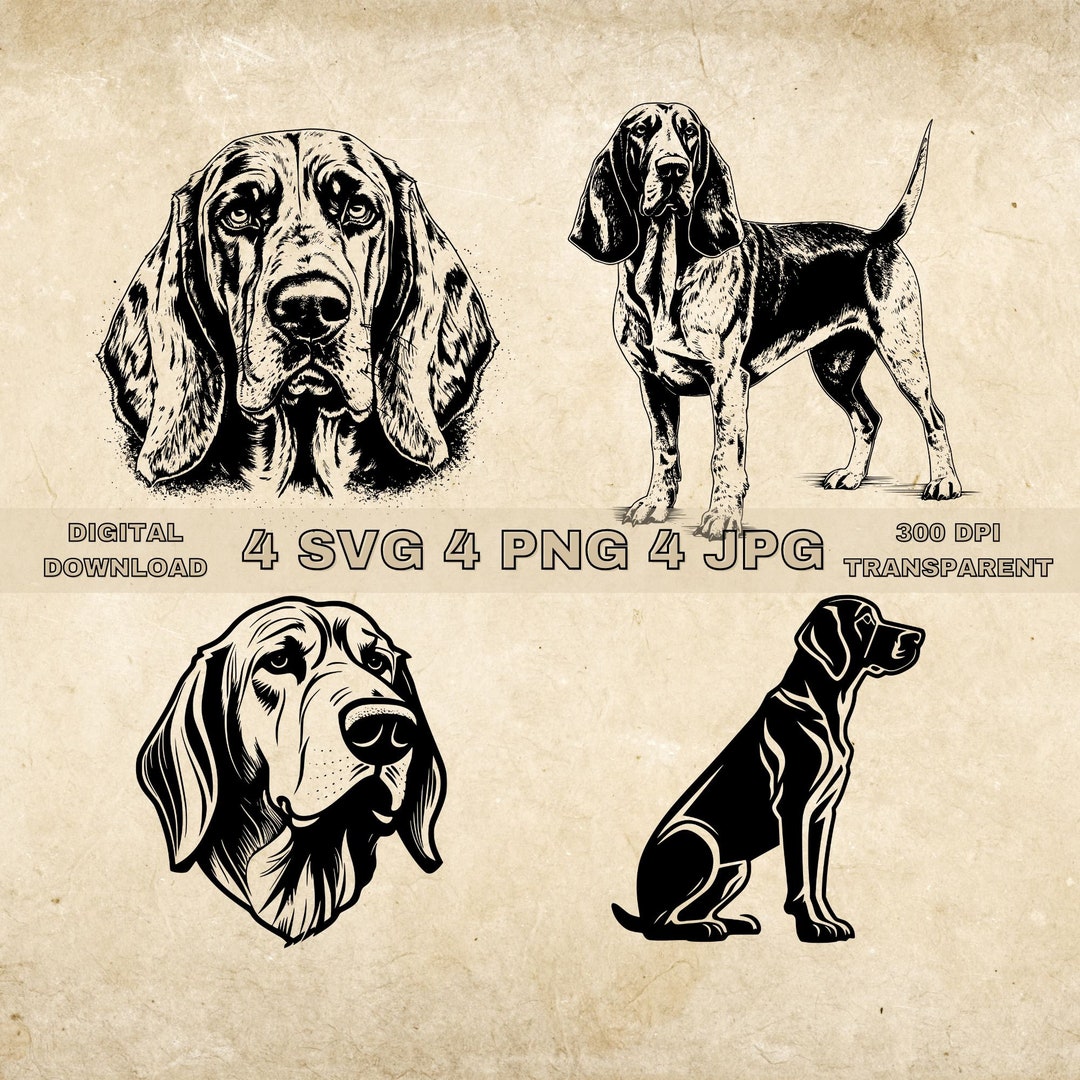 Coonhound SVG Bundle, PNG, Dogs Clipart, Hand Drawn Dog Vector ...