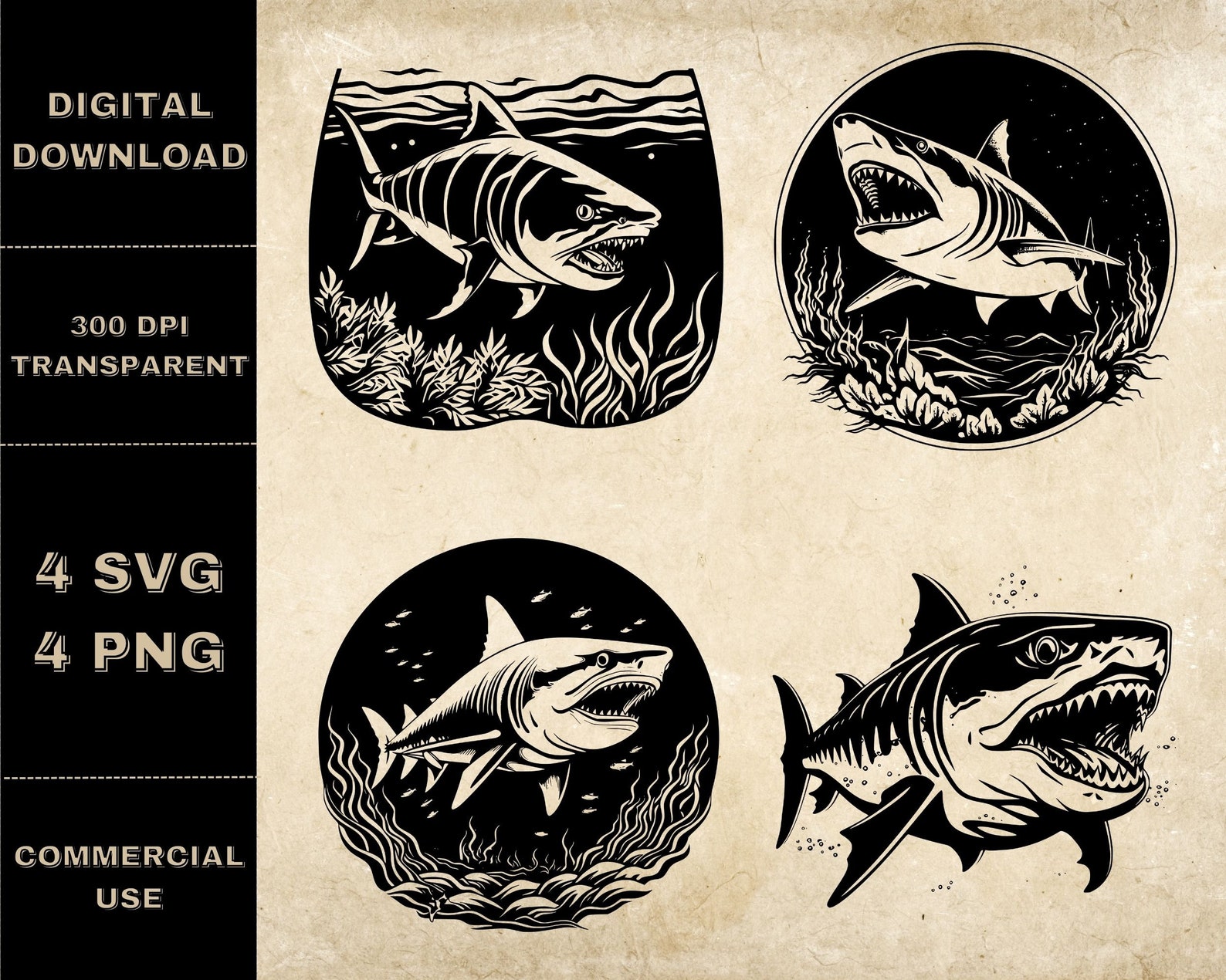 Shark SVG Bundle, PNG, Shark Clipart, Hand Drawn Sharks Vector ...