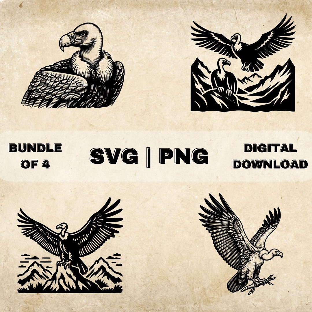 Condor SVG Bundle, Condor Clipart, Hand Drawn Bird Lover Theme Vector ...