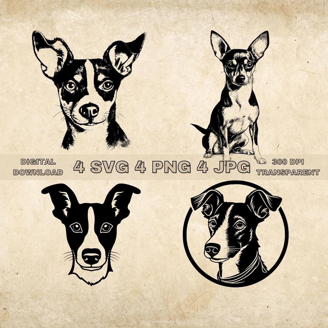 Rat Terrier SVG Bundle, PNG, Dogs Clipart, Hand Drawn Dog Vector ...