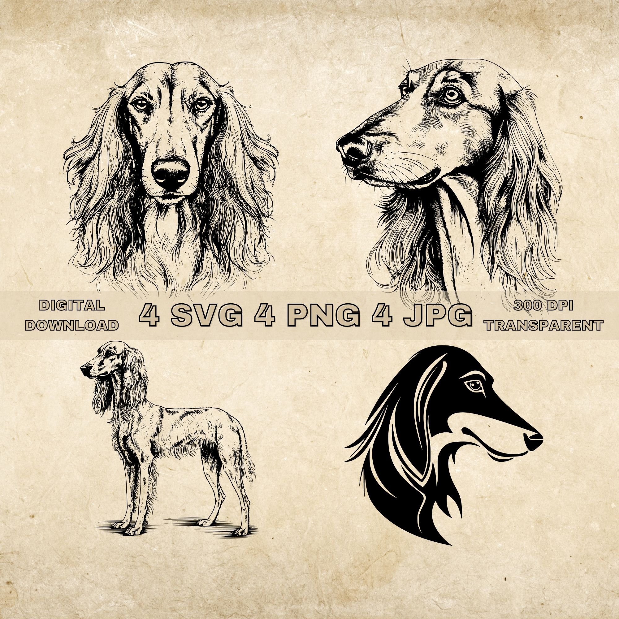 Saluki SVG Bundle, PNG, Cute Dogs Clipart, Hand Drawn Dog Vector ...