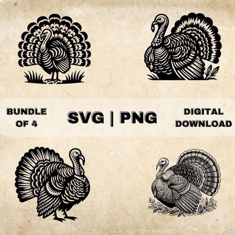 Wild Turkey SVG Bundle, Turkey Bird Clipart, Hand Drawn Thanksgiving ...