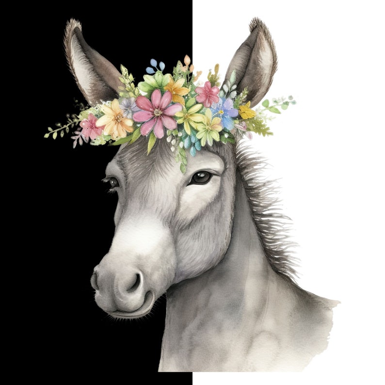 Cute Donkey Clipart Watercolor Donkey PNG Files Donkeys Clip - Etsy