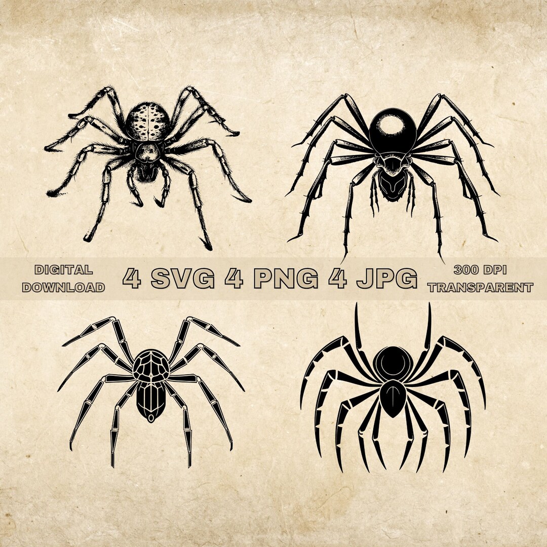 Spider SVG Bundle, PNG, Spiders Clipart, Hand Drawn Spider Vector ...