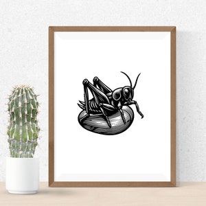 Cricket SVG Bundle, Insect Clipart, Hand Drawn Bug Lover Theme Vector ...
