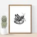 Cricket SVG Bundle, Insect Clipart, Hand Drawn Bug Lover Theme Vector ...