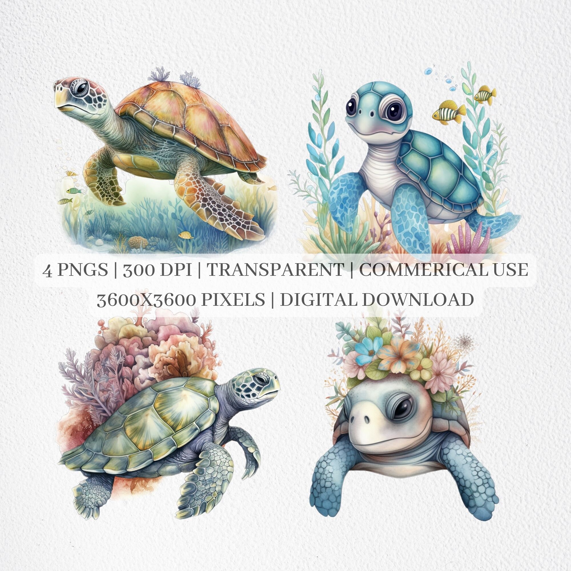 Sea Turtle Clipart Sea Turtle PNG Files for Sublimation - Etsy