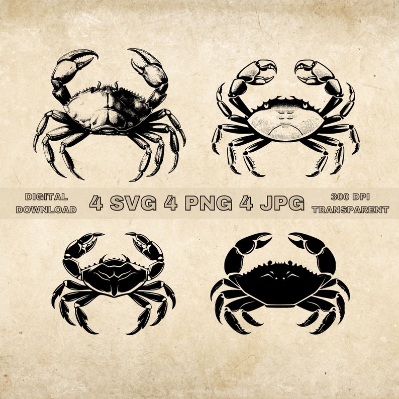 Crab SVG Bundle, PNG, Crab Clipart, Hand Drawn Crabs Vector ...