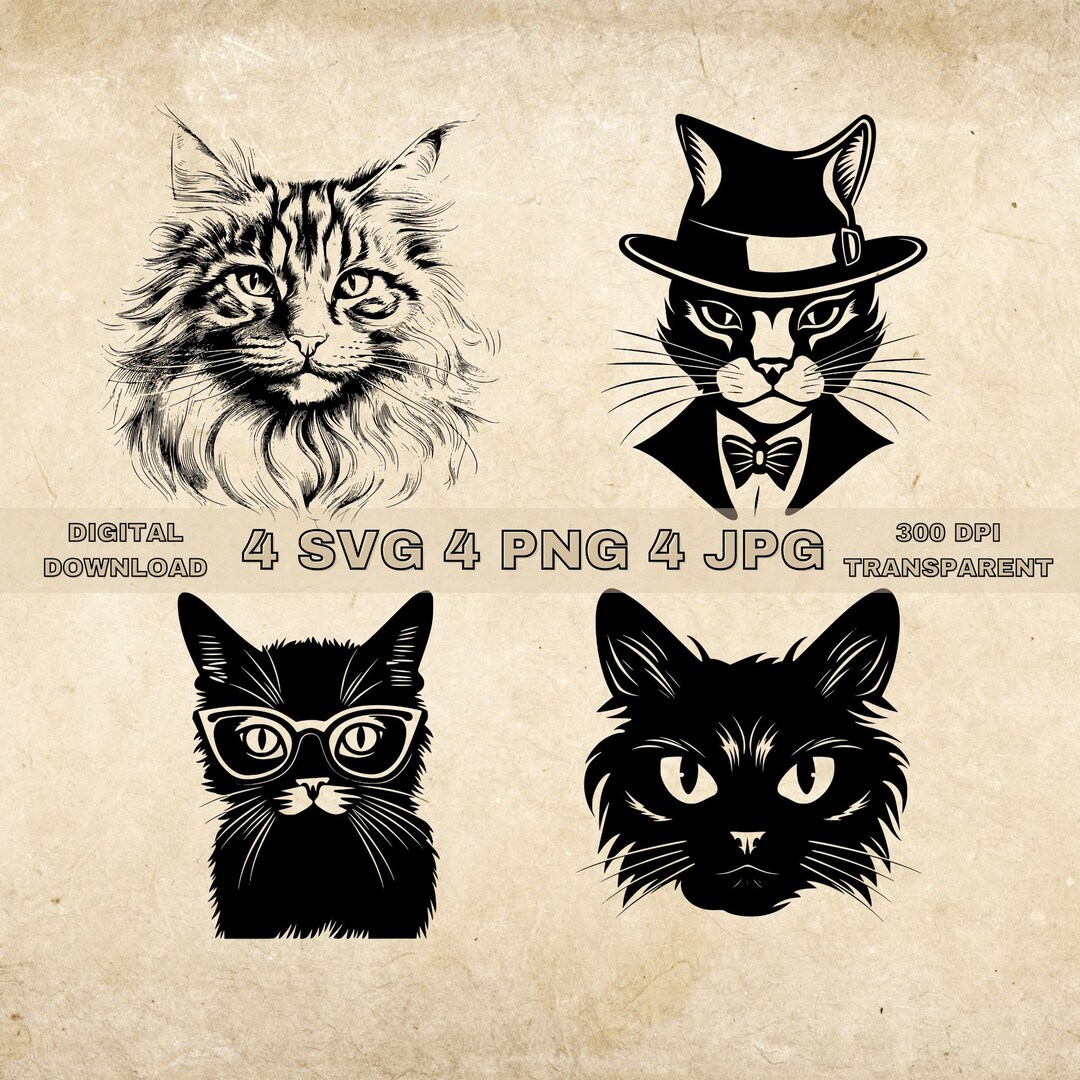 Cool Cat SVG Bundle, PNG, Funny Cats Clipart, Hand Drawn Kittens Vector ...