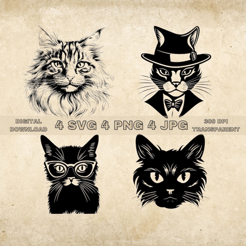 Cool Cat SVG Bundle, PNG, Funny Cats Clipart, Hand Drawn Kittens Vector ...