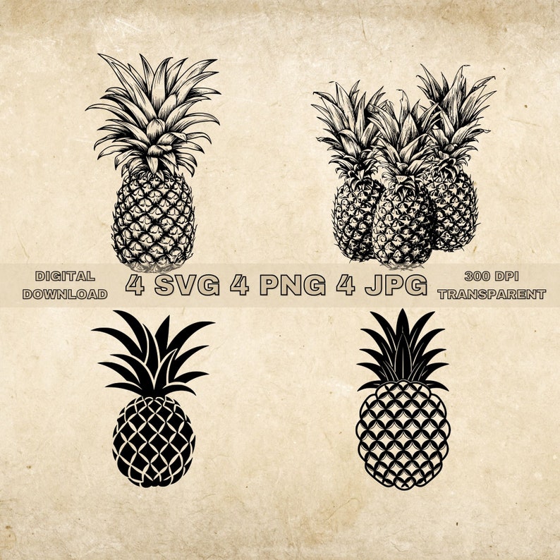 Pineapple SVG Bundle PNG Pineapple Clipart Hand Drawn - Etsy