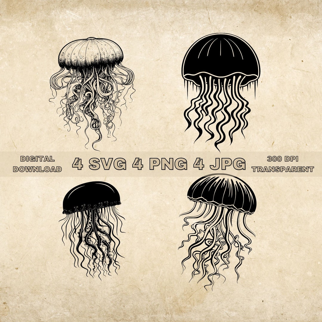 Jellyfish SVG Bundle, PNG, Sea Animals Clipart, Hand Drawn Jellyfish ...