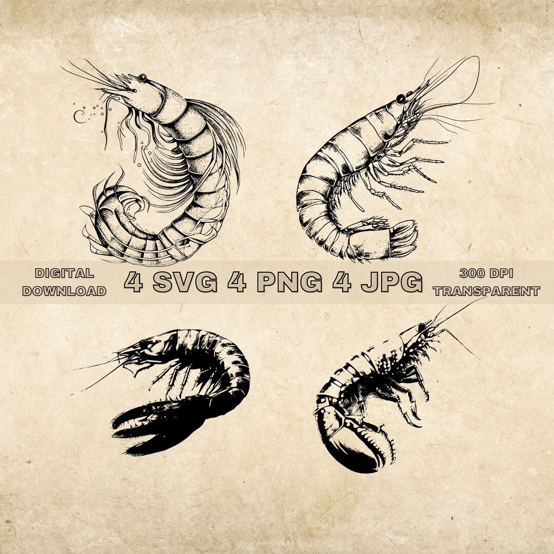 Shrimp SVG Bundle, PNG, Sea Food Clipart, Hand Drawn Shrimps Vector ...