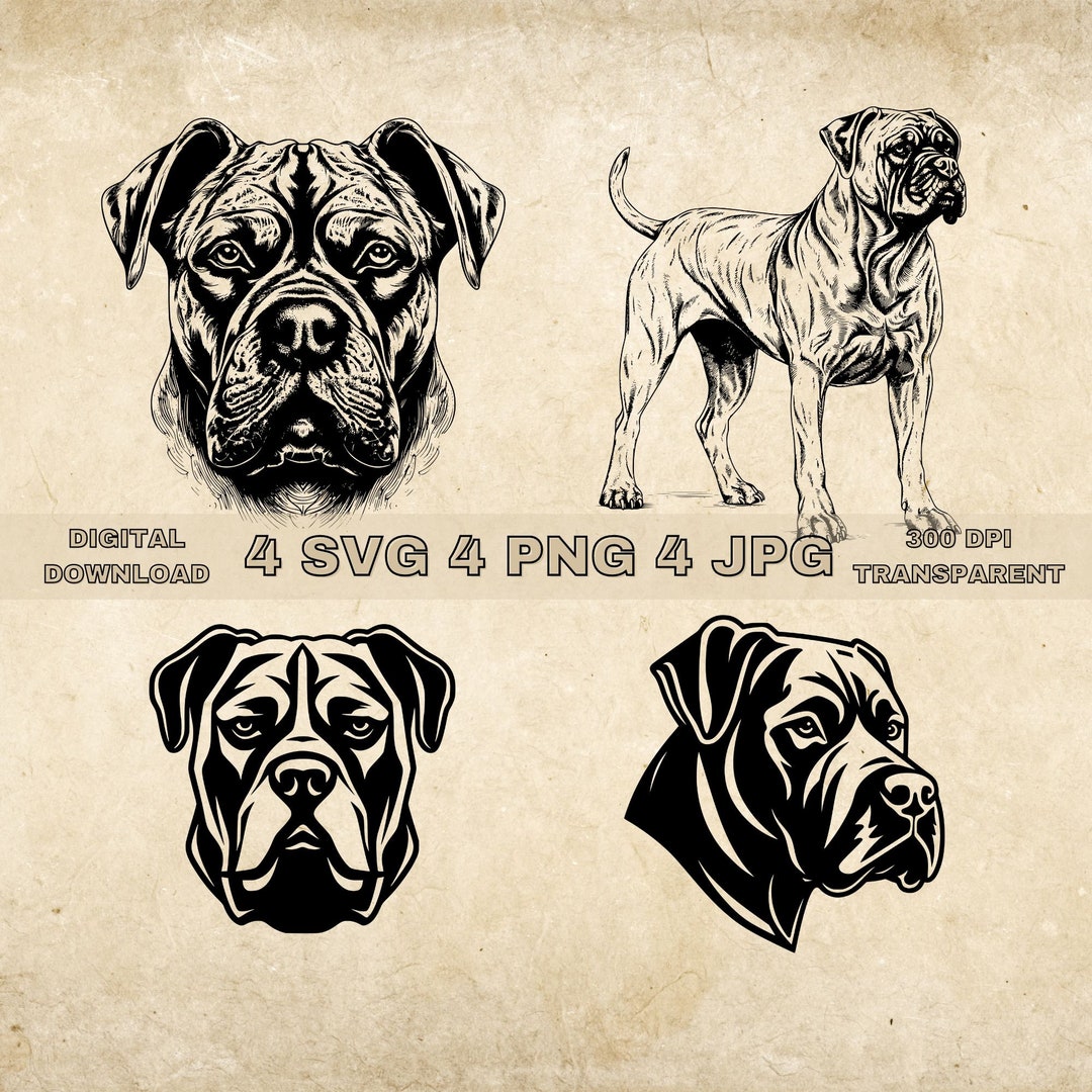 Cane Corso SVG Bundle, PNG, Dogs Clipart, Hand Drawn Dog Vector ...