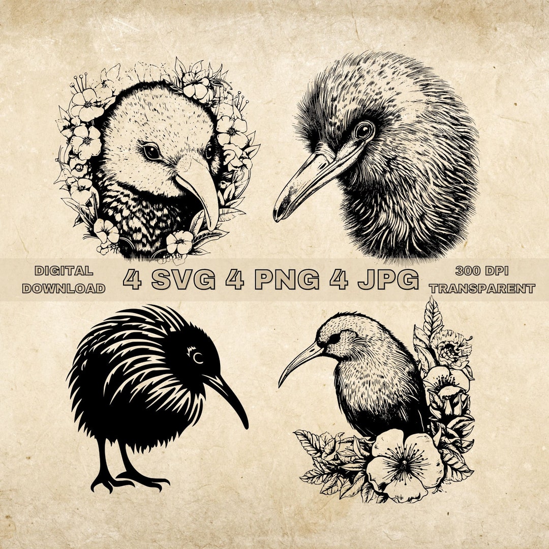Kiwi Bird SVG Bundle, PNG, Birds Clipart, Hand Drawn Cute Bird Vector ...