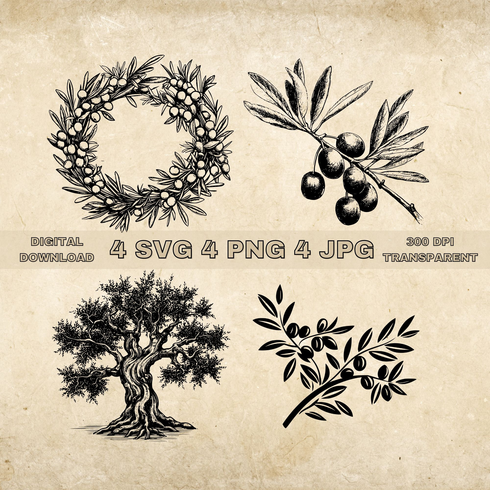 Olive SVG Bundle PNG Olive Branch and Tree Clipart Hand - Etsy