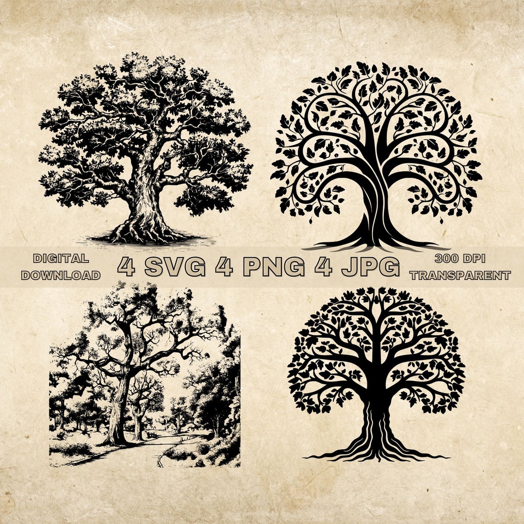 Oak Tree SVG Bundle, PNG, Oak Trees Clipart, Hand Drawn Tree Vector ...