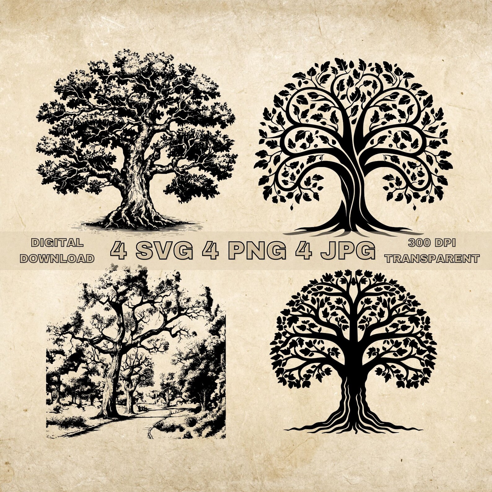 Oak Tree SVG Bundle, PNG, Oak Trees Clipart, Hand Drawn Tree Vector ...