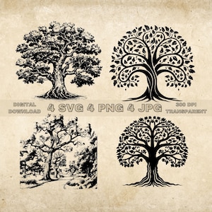 Oak Tree SVG Bundle, PNG, Oak Trees Clipart, Hand Drawn Tree Vector ...