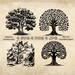 Oak Tree SVG Bundle, PNG, Oak Trees Clipart, Hand Drawn Tree Vector ...
