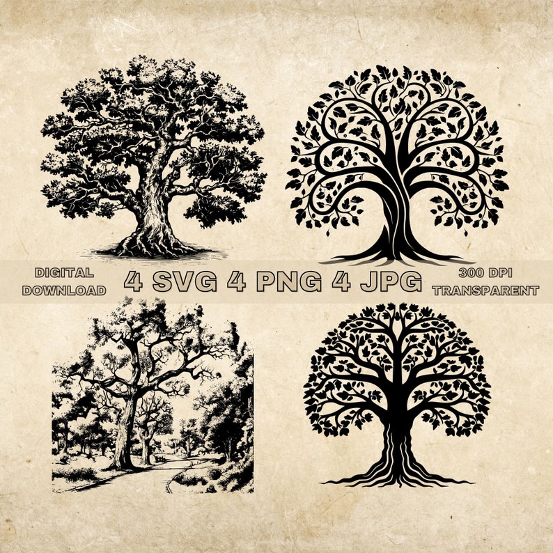 Oak Tree SVG Bundle, PNG, Oak Trees Clipart, Hand Drawn Tree Vector ...