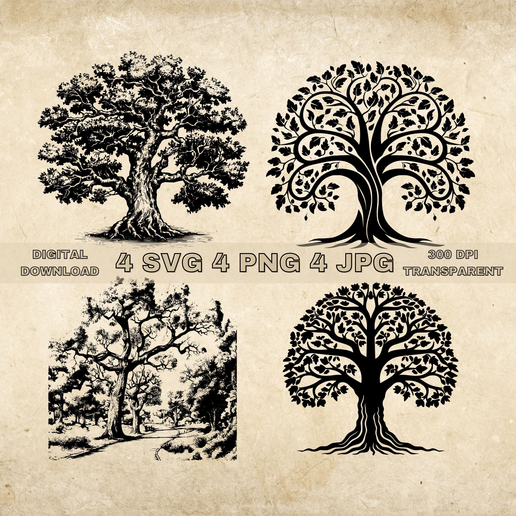 Oak Tree SVG Bundle, PNG, Oak Trees Clipart, Hand Drawn Tree Vector ...