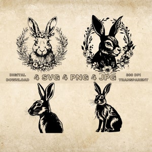 Hare SVG Bundle, PNG, Hare Clipart, Hand Drawn Hare Vector Illustration ...