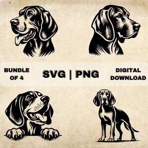 Redbone Coonhound SVG Bundle, Coonhound Clipart, Hand Drawn Dog Theme ...