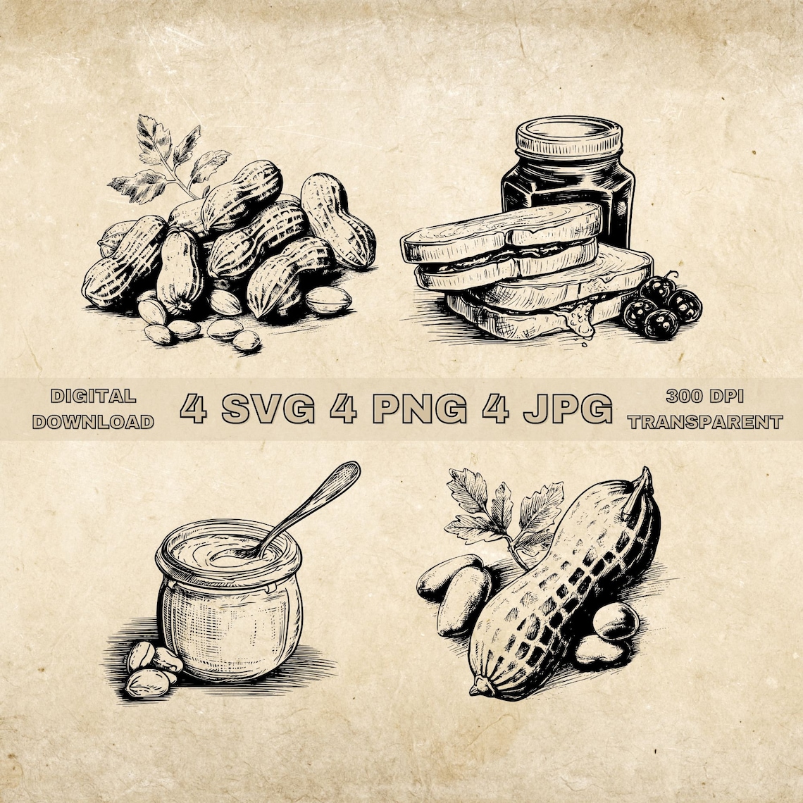 Peanut SVG Bundle PNG Peanut Butter and Jelly Clipart Hand - Etsy