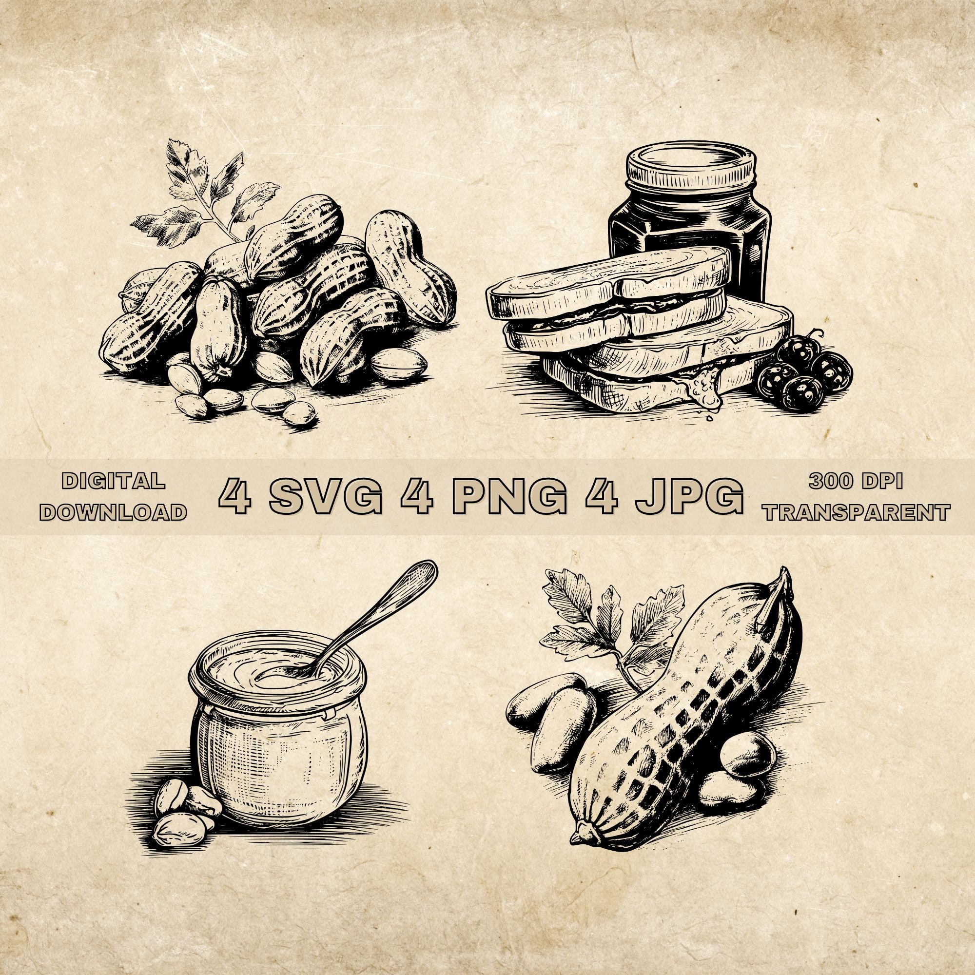 Peanut SVG Bundle PNG Peanut Butter and Jelly Clipart Hand - Etsy