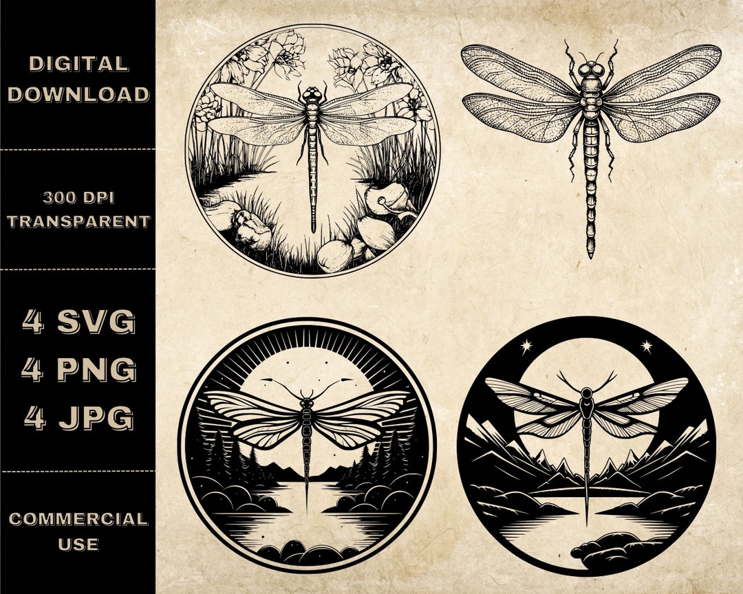 Dragonfly SVG Bundle, PNG, Dragonflies Clipart, Hand Drawn Dragonfly ...
