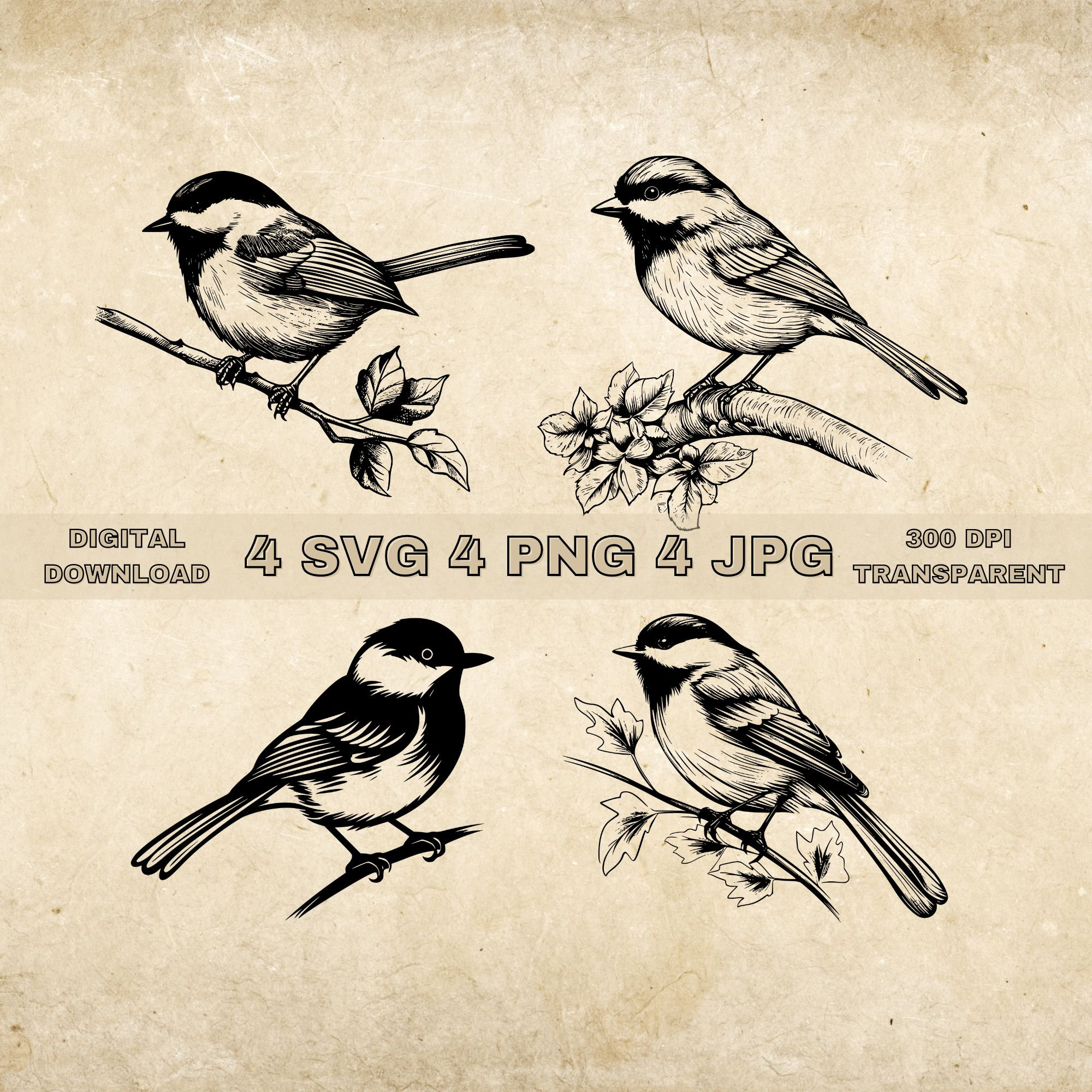 Chickadee SVG Bundle PNG Birds Clipart Hand Drawn Cute Bird - Etsy