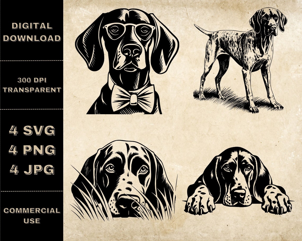 German Shorthaired Pointer SVG Bundle, PNG, German Shorthaired Pointer ...