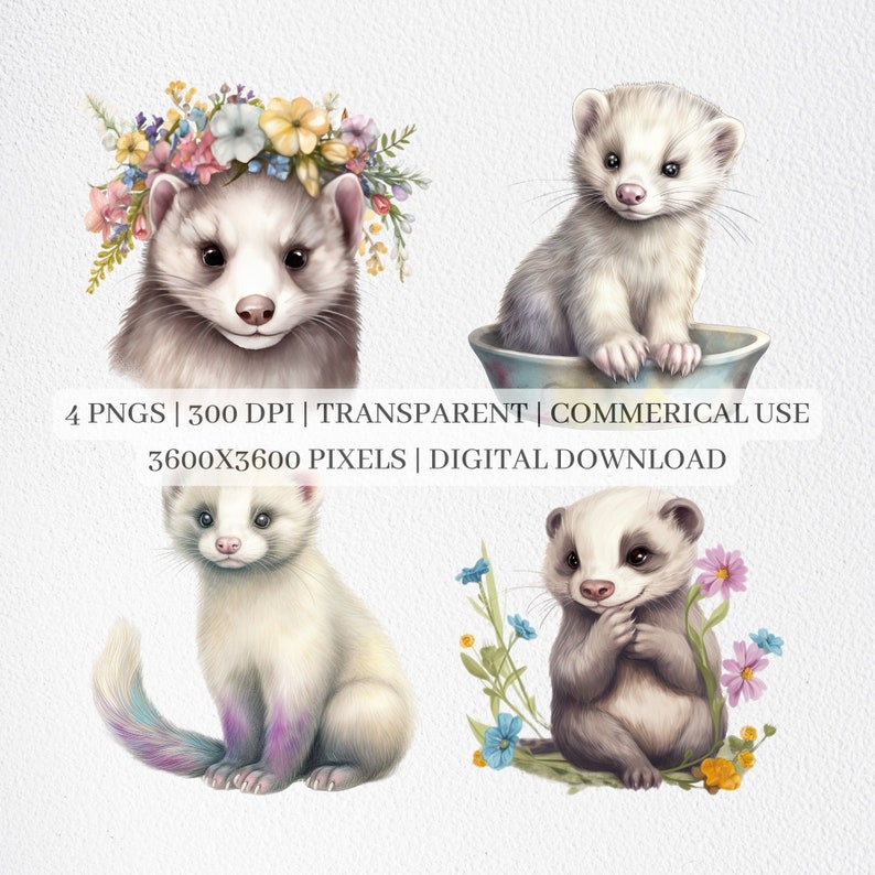 Cute Ferret Clipart Ferret PNG Files for Sublimation Ferrets - Etsy