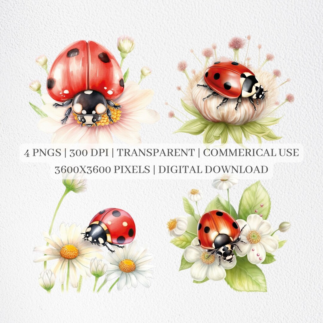Ladybug Clipart, Ladybug PNG, Cute Bugs and Flowers Clip Art, Nursery ...