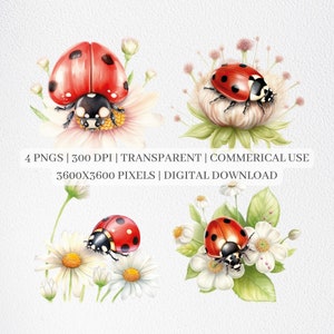 Ladybug Clipart, Ladybug PNG, Cute Bugs and Flowers Clip Art, Nursery ...